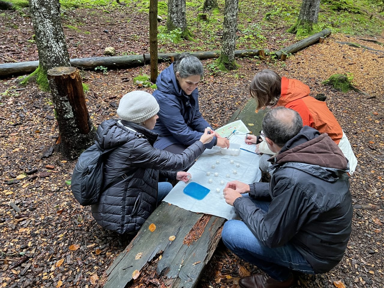 Walk Wild ACCUEIL Accompagnateur en montagne. Guide de randonnée.